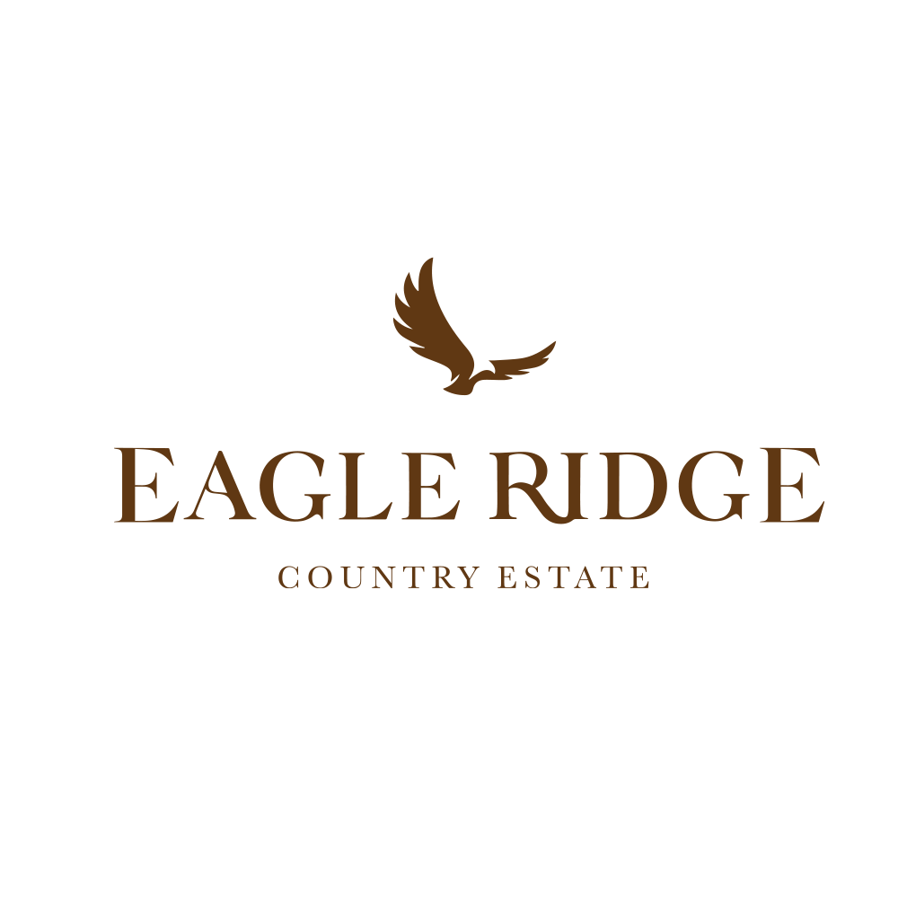 Eagle Ridge Tauranga | 360º View of The Homestead